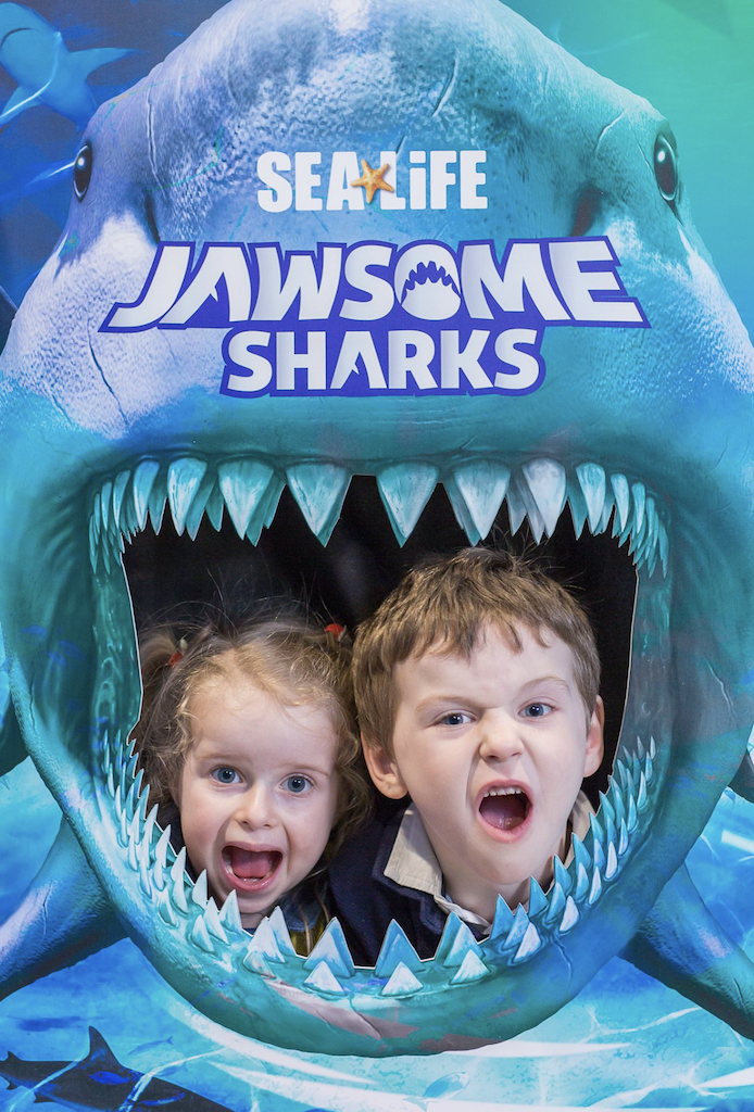 Visit Jawsome Sharks adventure at Sealife Bray this spring – bray.ie
