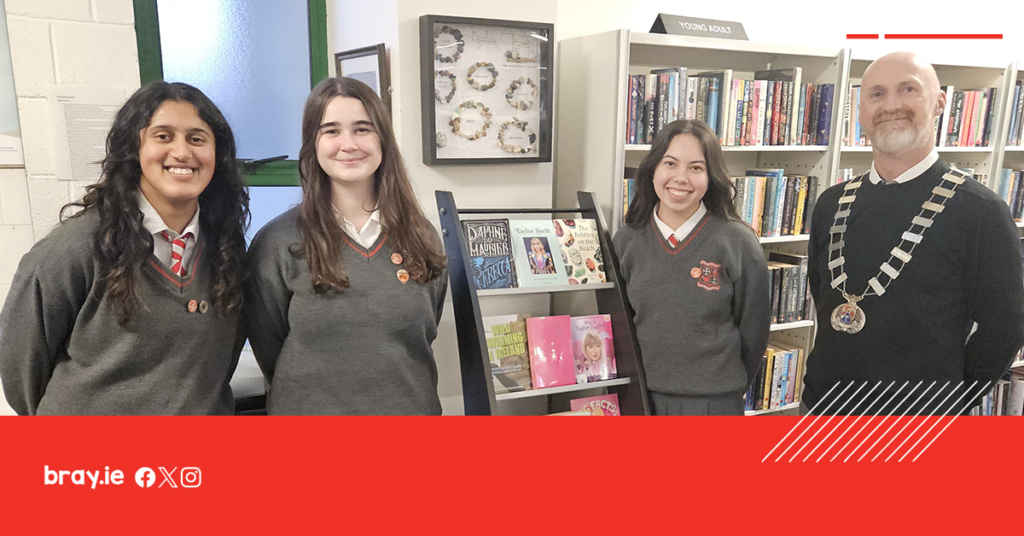 Taylor Swift’s Pebble Frame on display at Bray Library – bray.ie